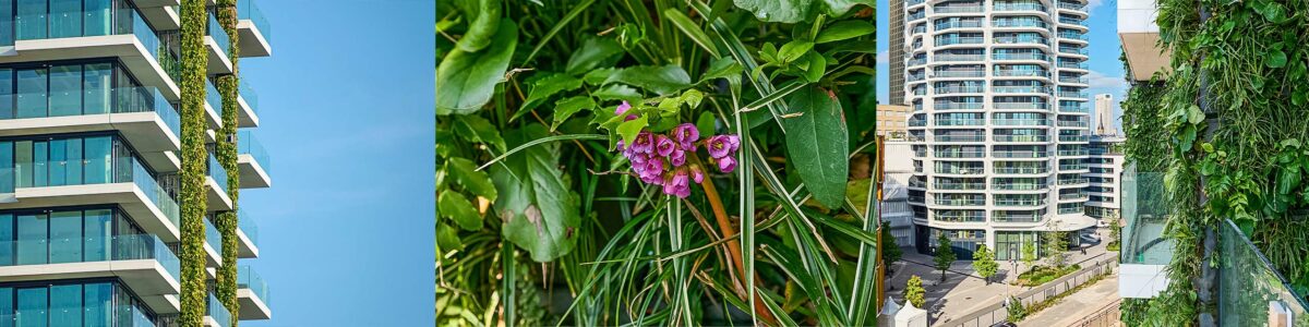 Facade Greening on High-Rise Buildings - SKYLINE ATLAS