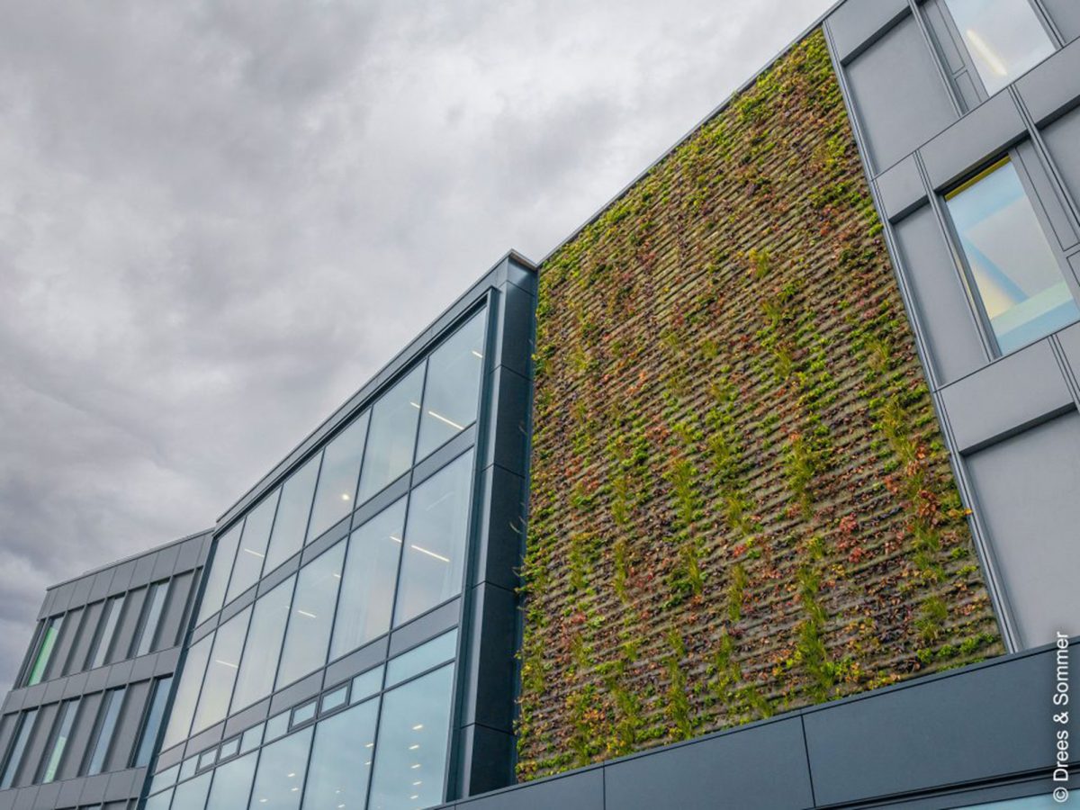 Interview with André Friedel - Senior BIM Expert at Drees & Sommer